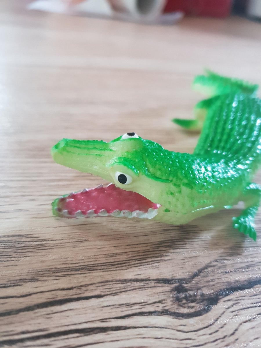 Danny Avidan Alligator