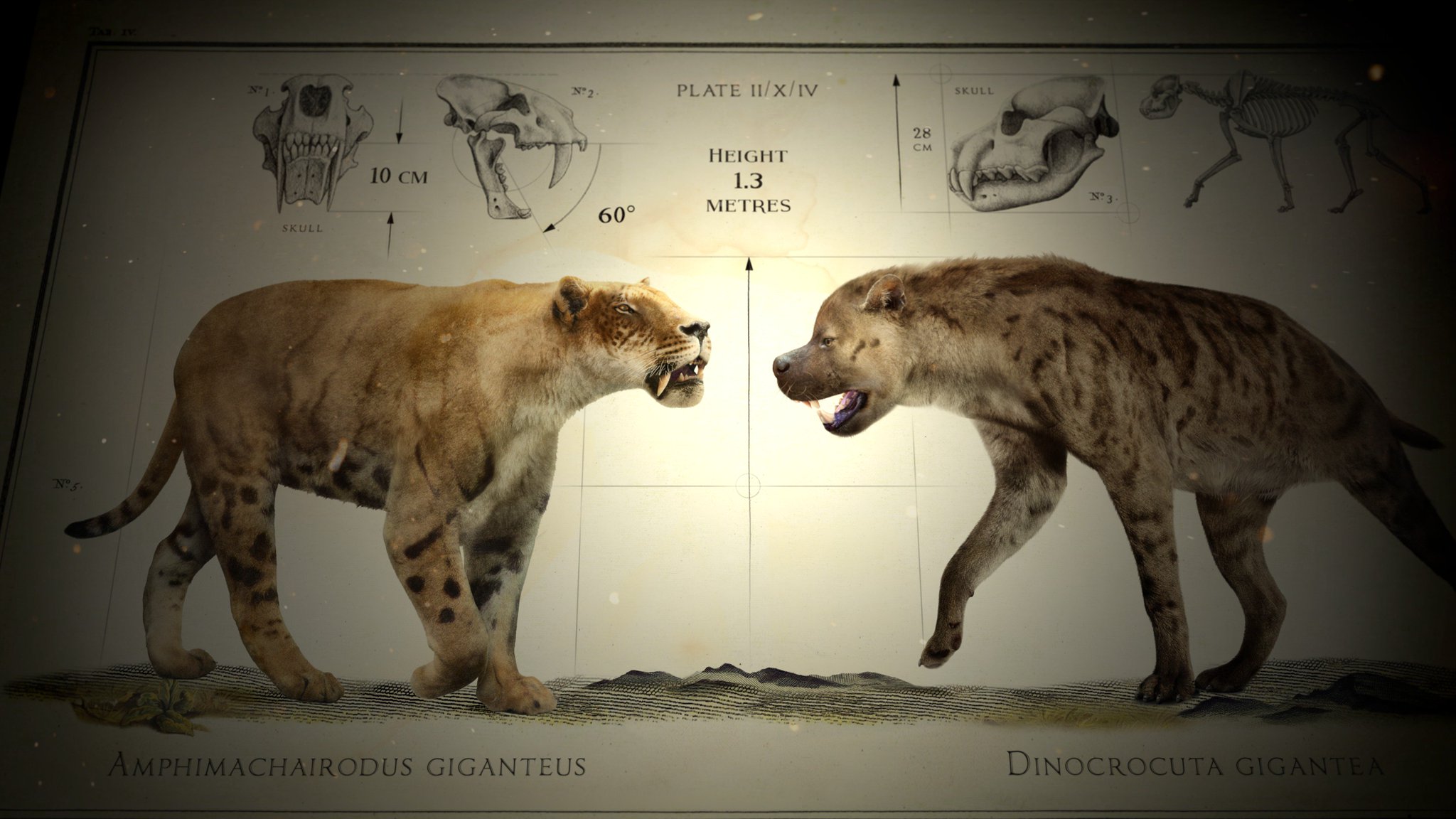 Dinocrocuta Gigantea