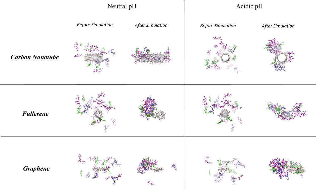 Biomolecules MDPI (@Biomol_MDPI) | Twitter