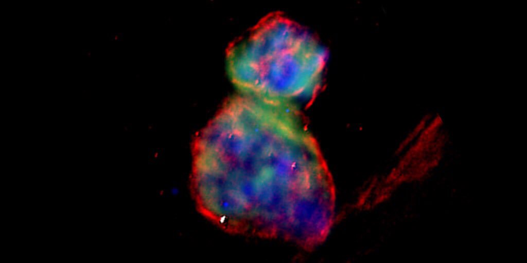 Rotten Egg Nebula Supernova
