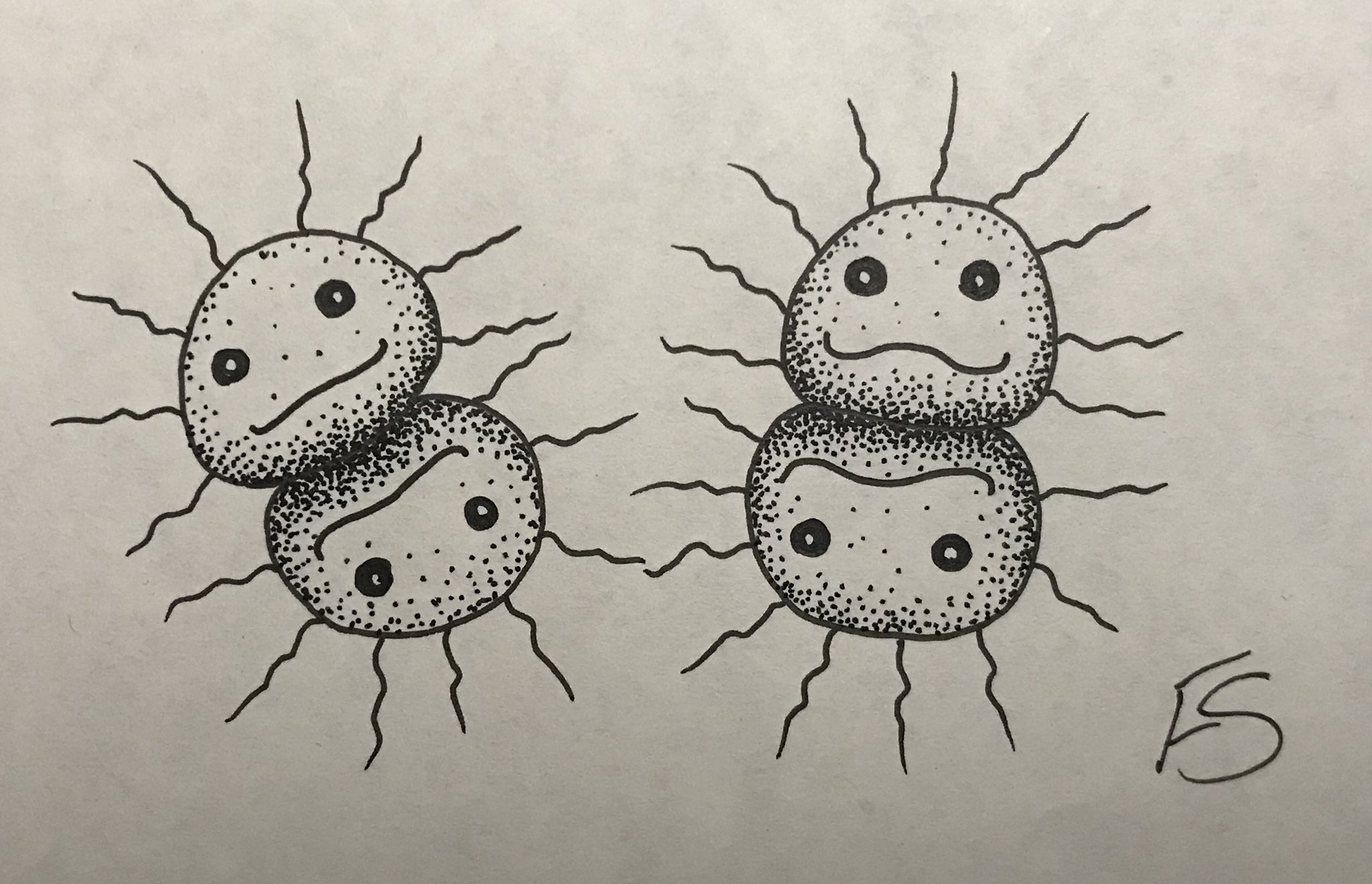 Simple Bacteria Drawing
