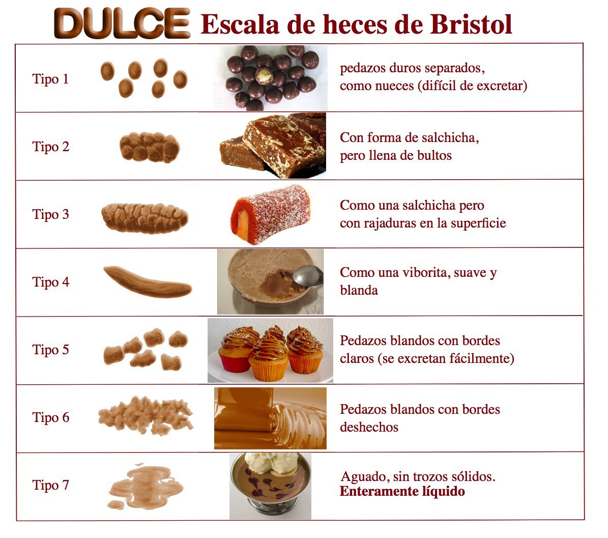 Escala De Heces De Bristol Pdf Wesob | My XXX Hot Girl