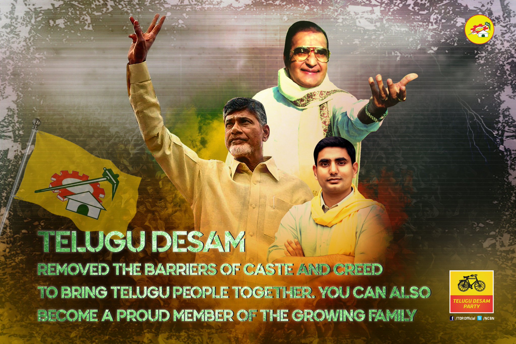 Telugu Desam Party Flag