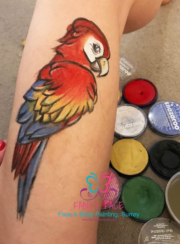 Macaw Face Paint