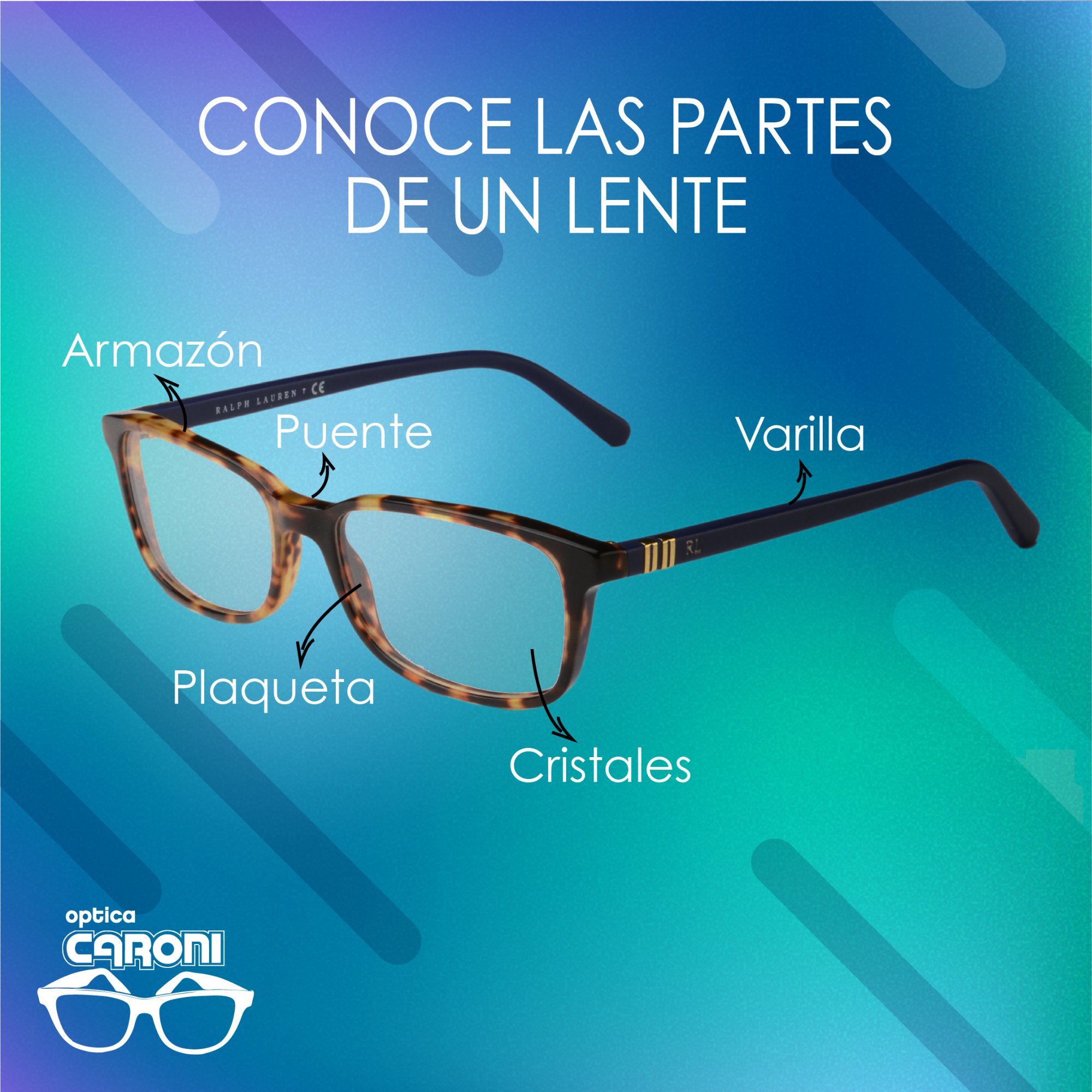 Partes De Un Armazon | atelier-yuwa.ciao.jp