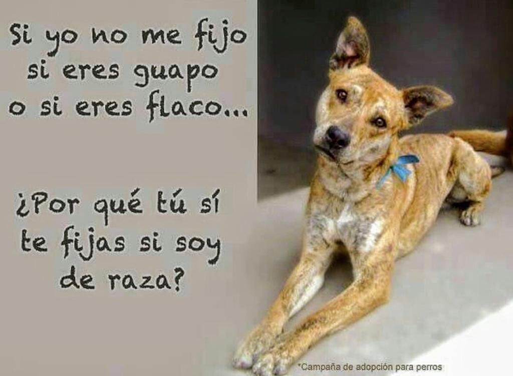 32 best Twitter @tapiafernanda images on Pholder | Quien le entra?