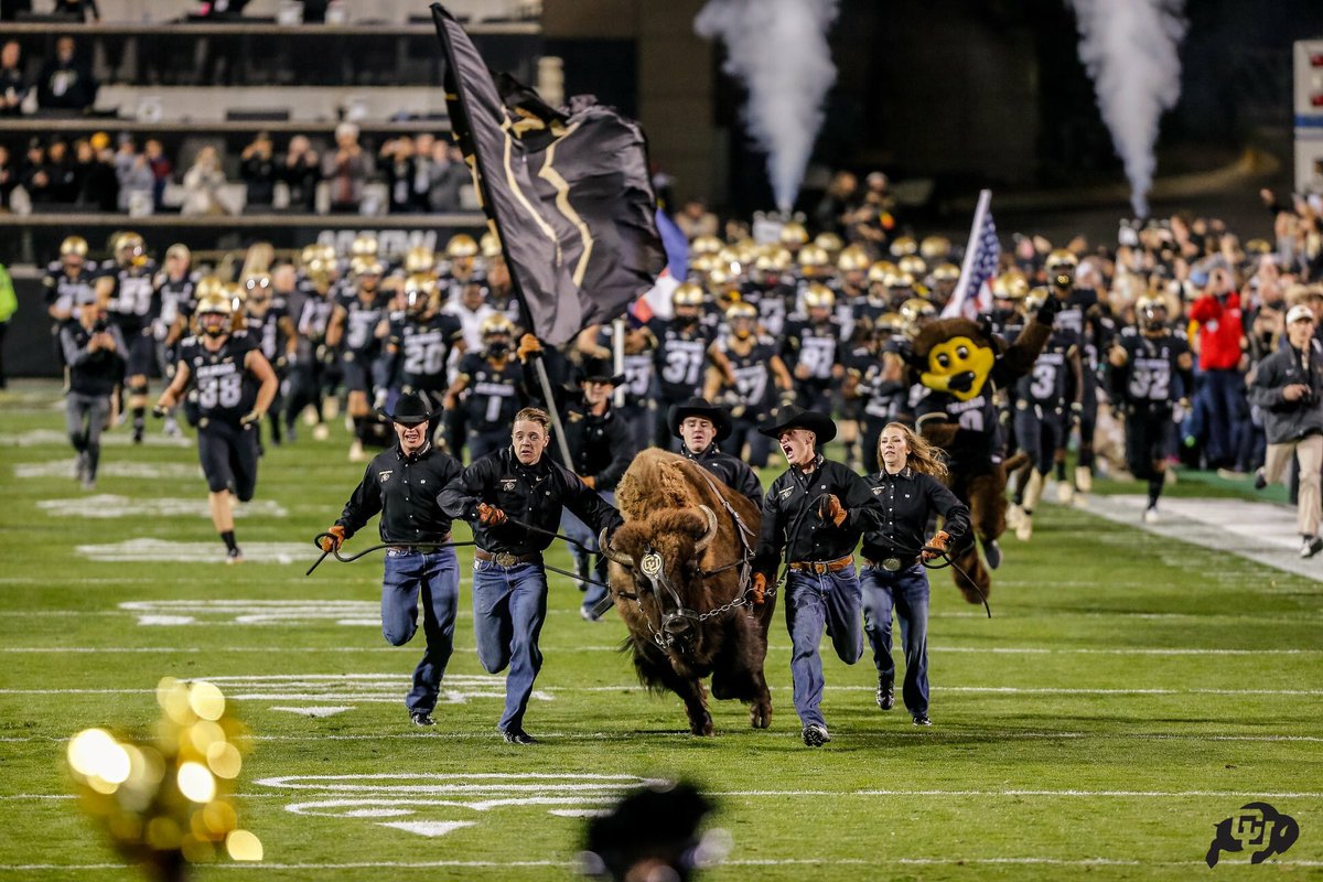 118 best Gobuffs images on Pholder | Go Buffs, Run Ralphie Run and ...