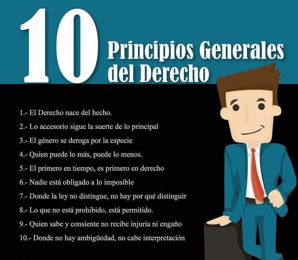 Los Principios Generales Del Derecho Ius Latin