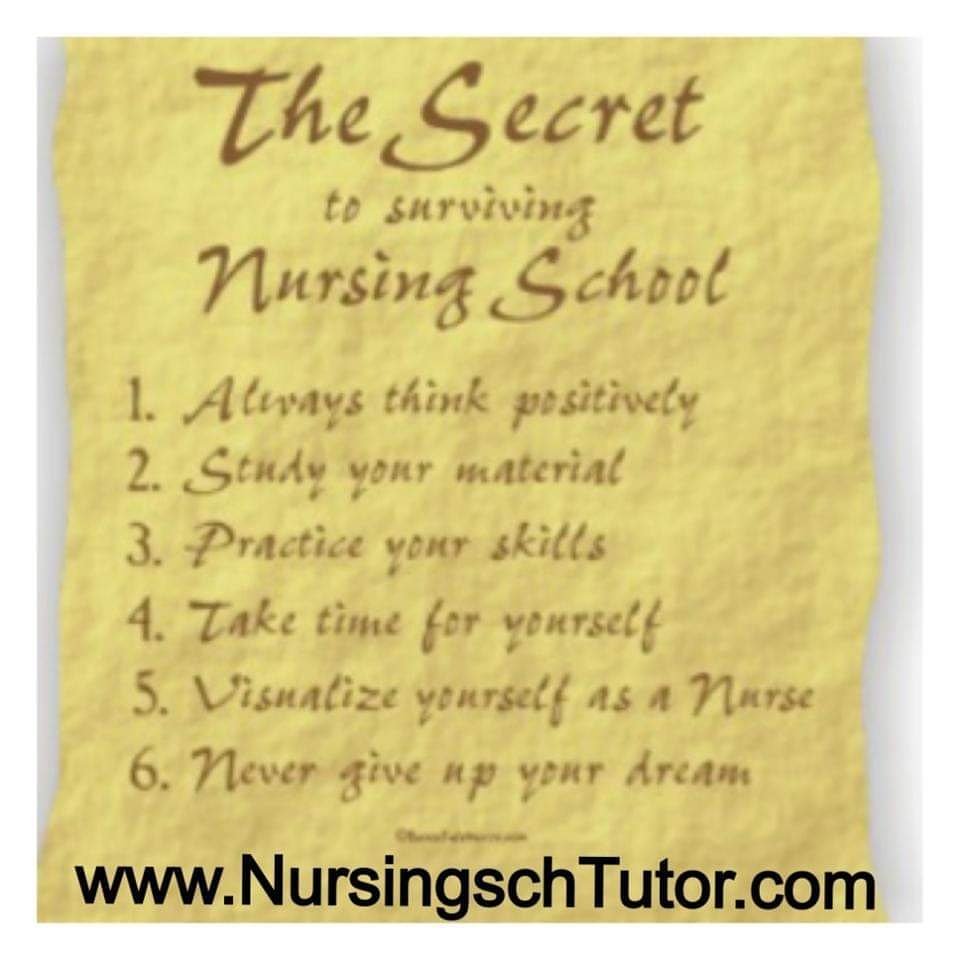 Surviving Nursing School
