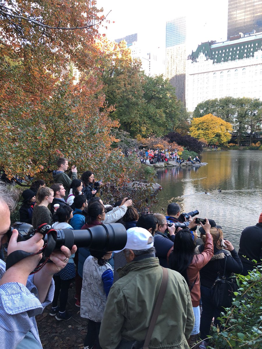 Anjali Dayal (@akd2003) | Twitter