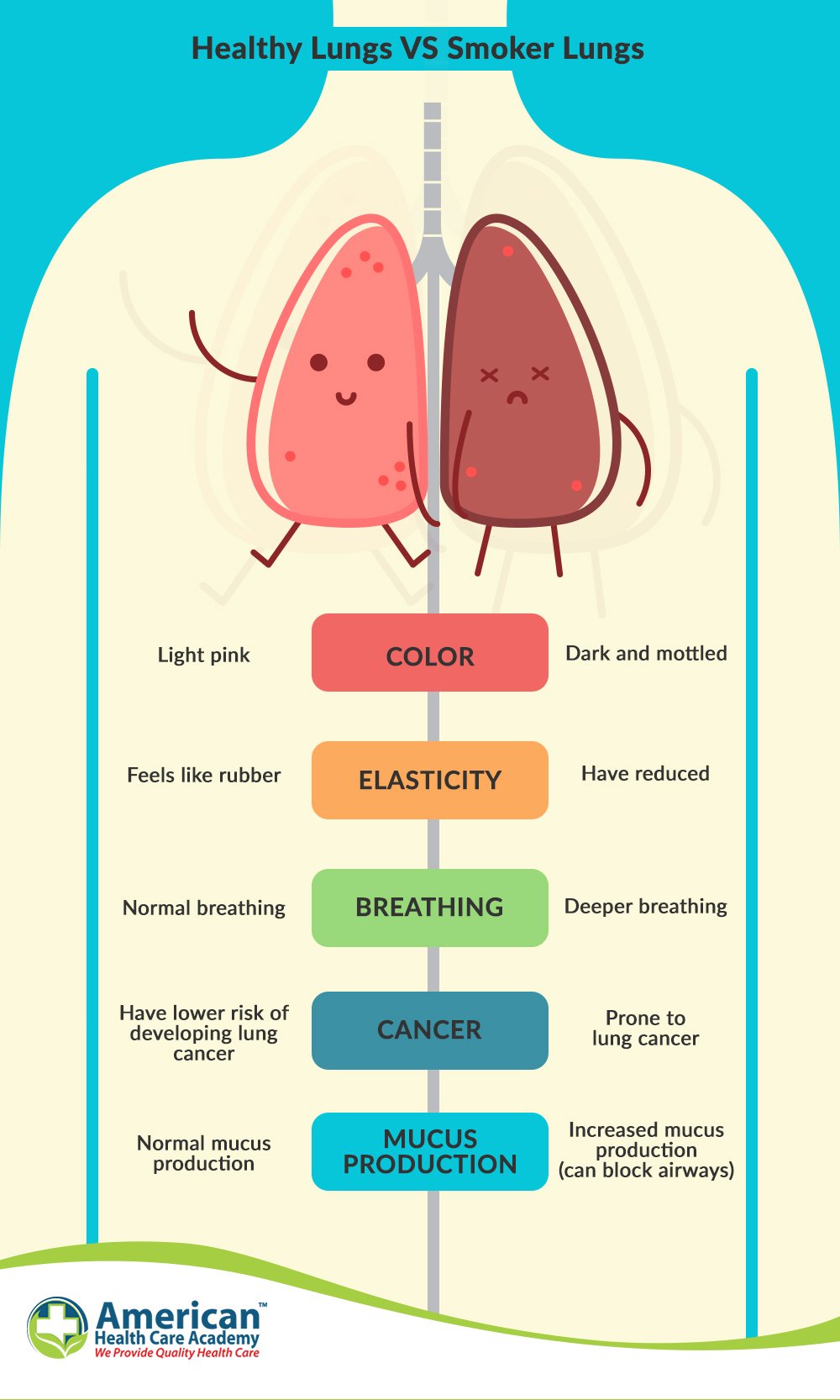Smokers Lung Comparison
