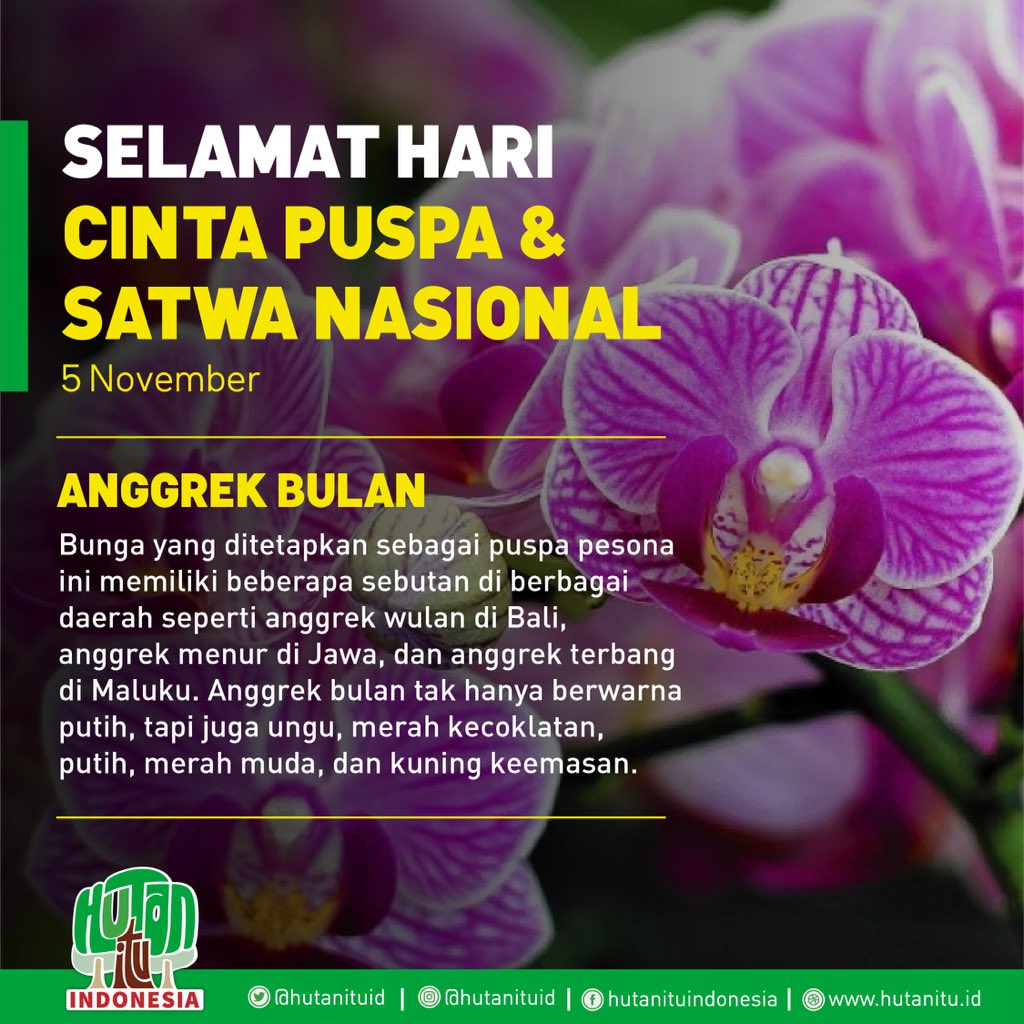 Kumpulan Contoh Gambar Bunga Poster Paling Dicari - Informasi Seputar ... Kumpulan Contoh Gambar Bunga Poster Paling Dicari - Informasi Seputar ...