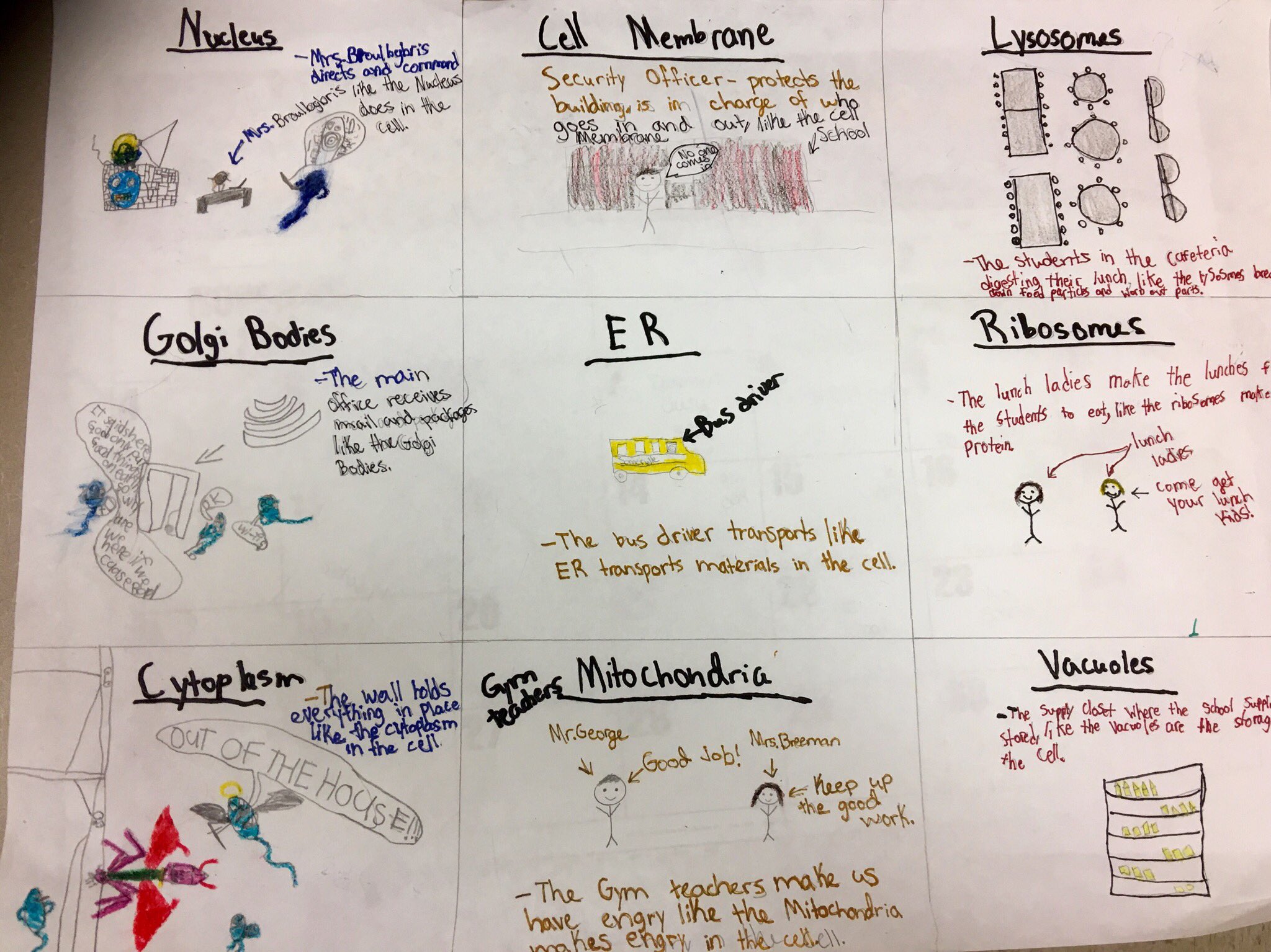 Cell Analogy School Cell Analogy Project By Sweet And Simple In The