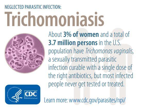 Trichomoniasis Bacteria