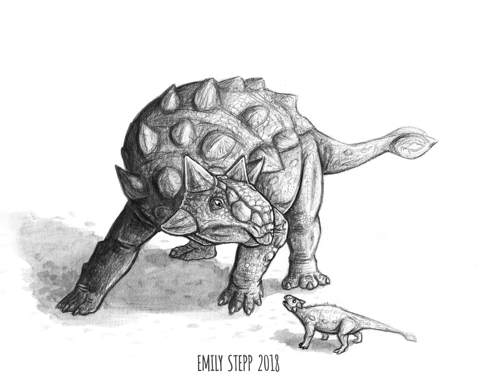 Ankylosaurus Drawing