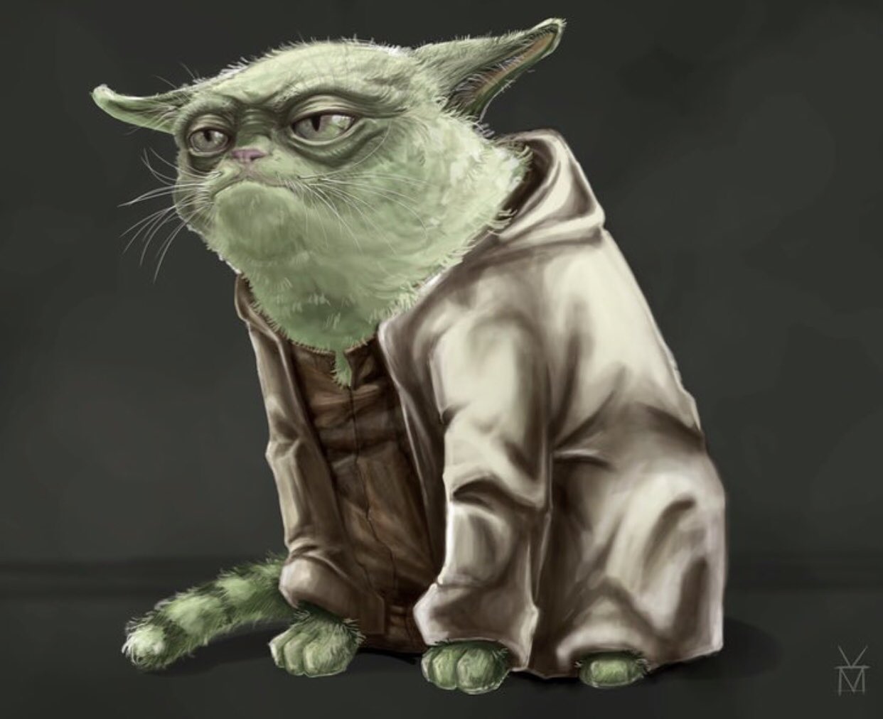 Grumpy Cat Star Wars Yoda