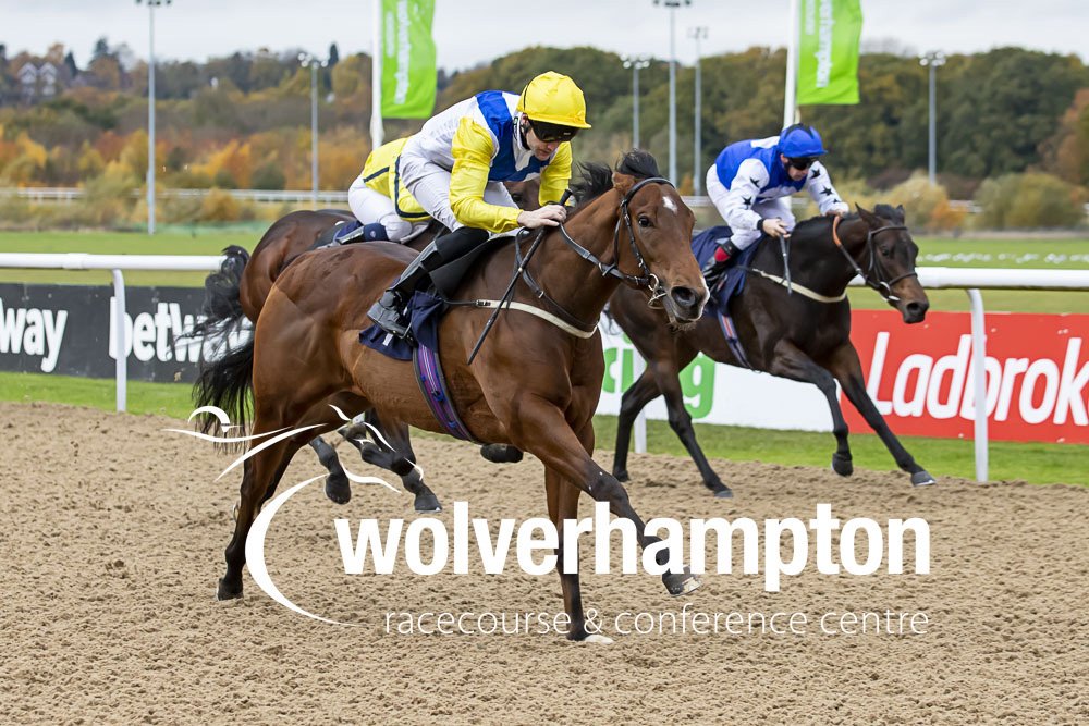 David O'Meara Racing | Racehorse Trainer in York | Get your heart racing!