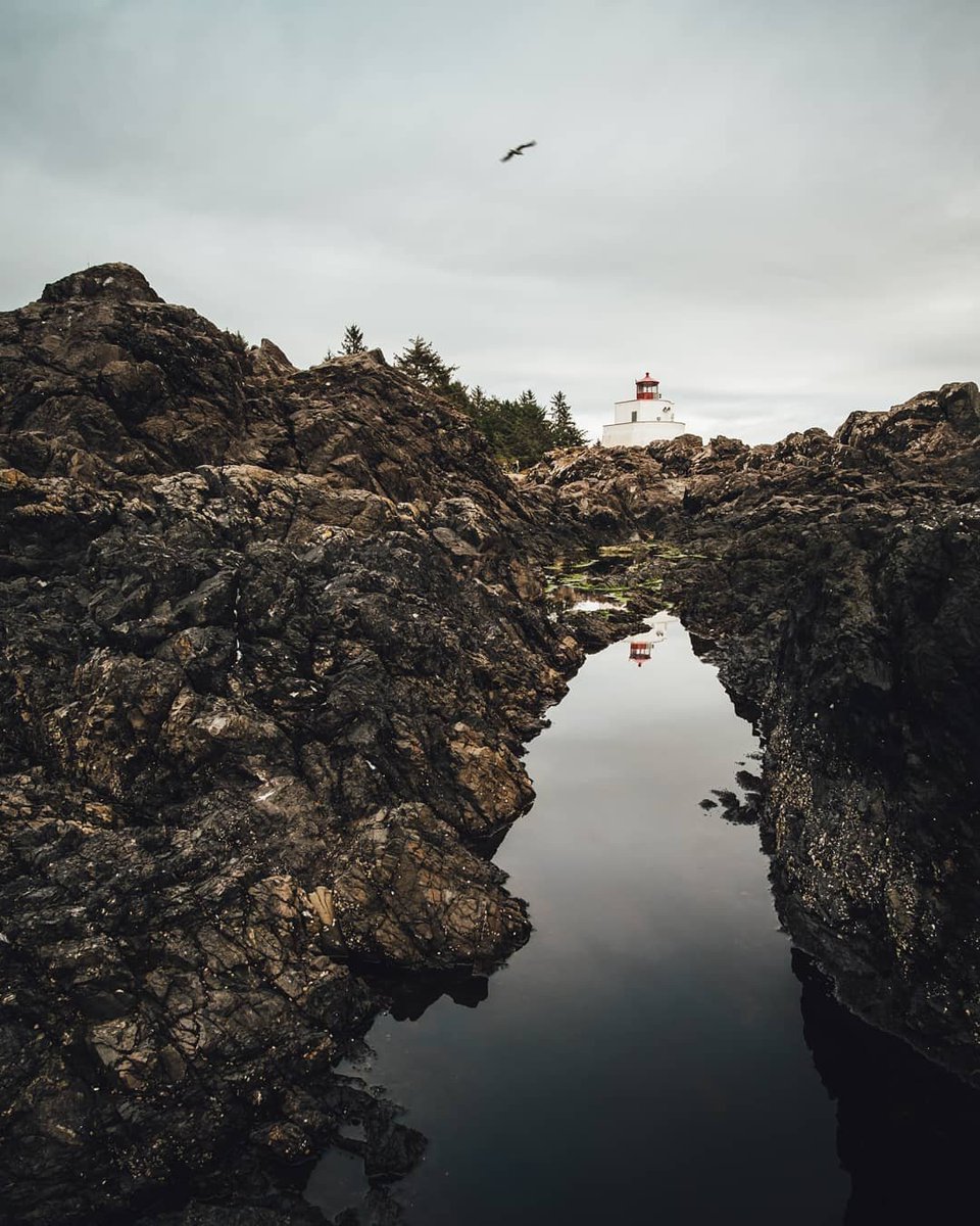 13 best Twitter Hellobc images on Pholder | . ️️ #ExploreCanada \n\n📷 ...