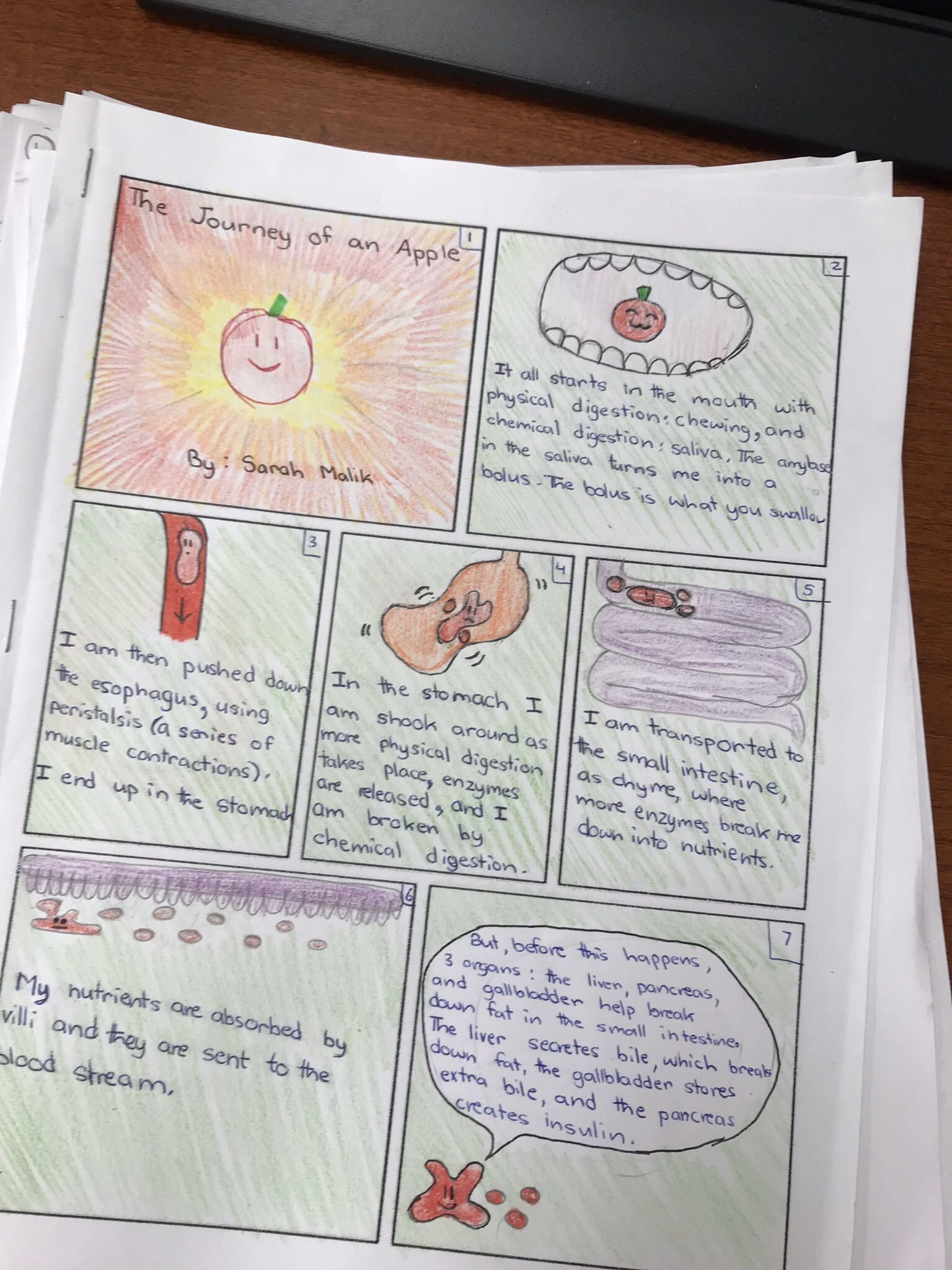 Digestive System Cartoon Strip