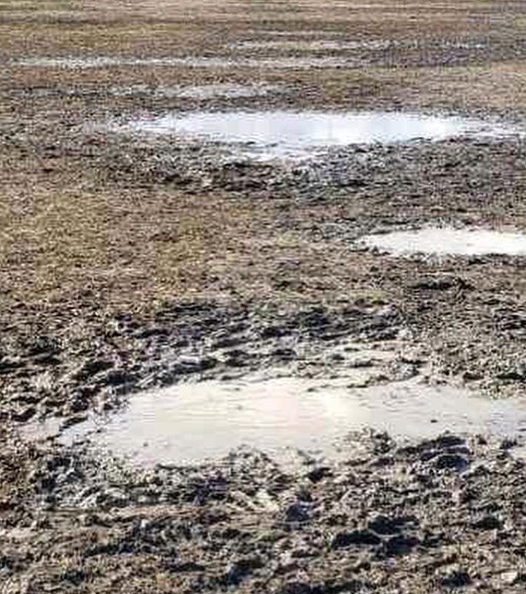 🖖🏾 wave (@Papi_Specs) | Twitter