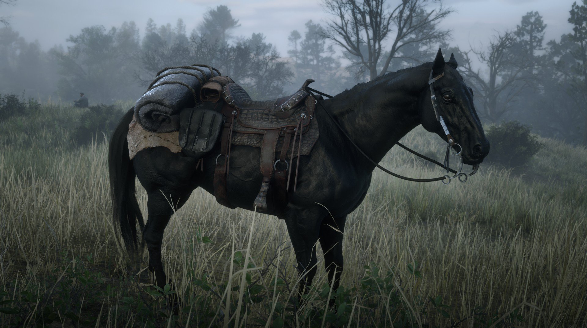 Where Is The American Standardbred In Rdr2