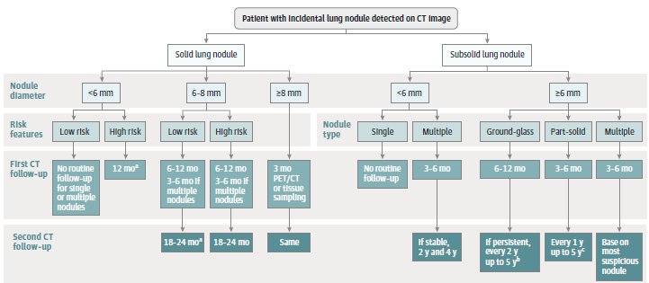 Fleischner Society : Latest News, Breaking News Headlines | Scoopnest