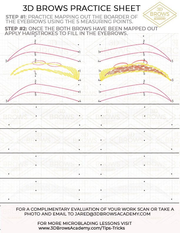 3dBrows on Twitter: "Free Microblading Lesson! Download 3D Brows Practice sheet,fill in the ...