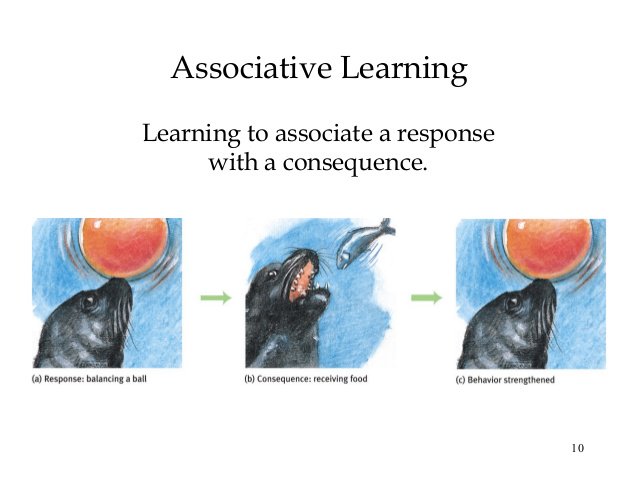 Associative Learning