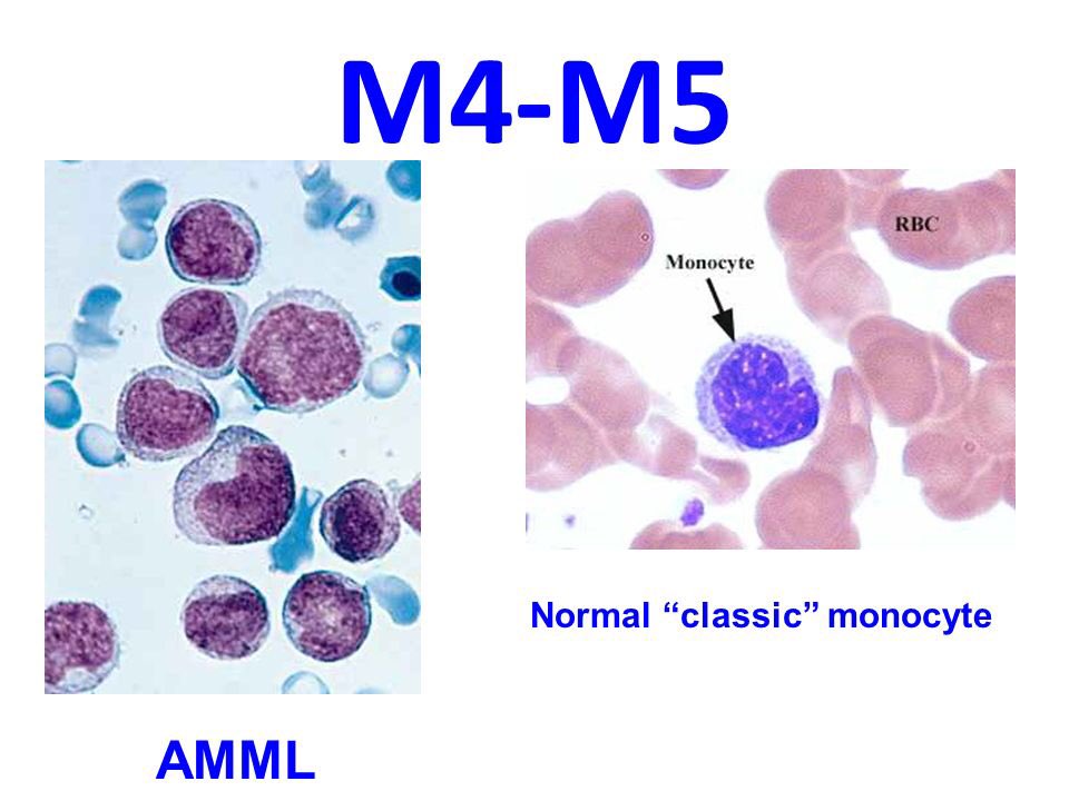 @MLS_2015 @iLabClub @MedicalLabs12 @LabSpecialist @lab_space_17 ...