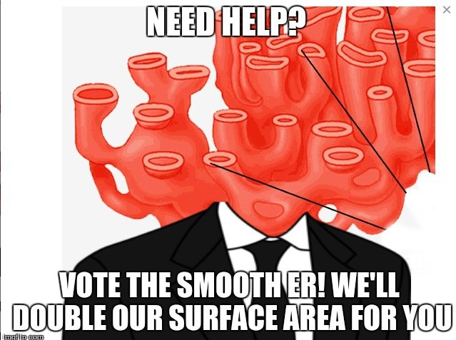 Endoplasmic Reticulum Quotes Illustration Of The Subcellular