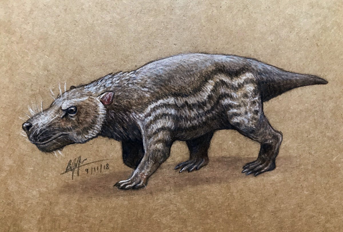 Okeanos' Artwork - The ZT2 Round Table