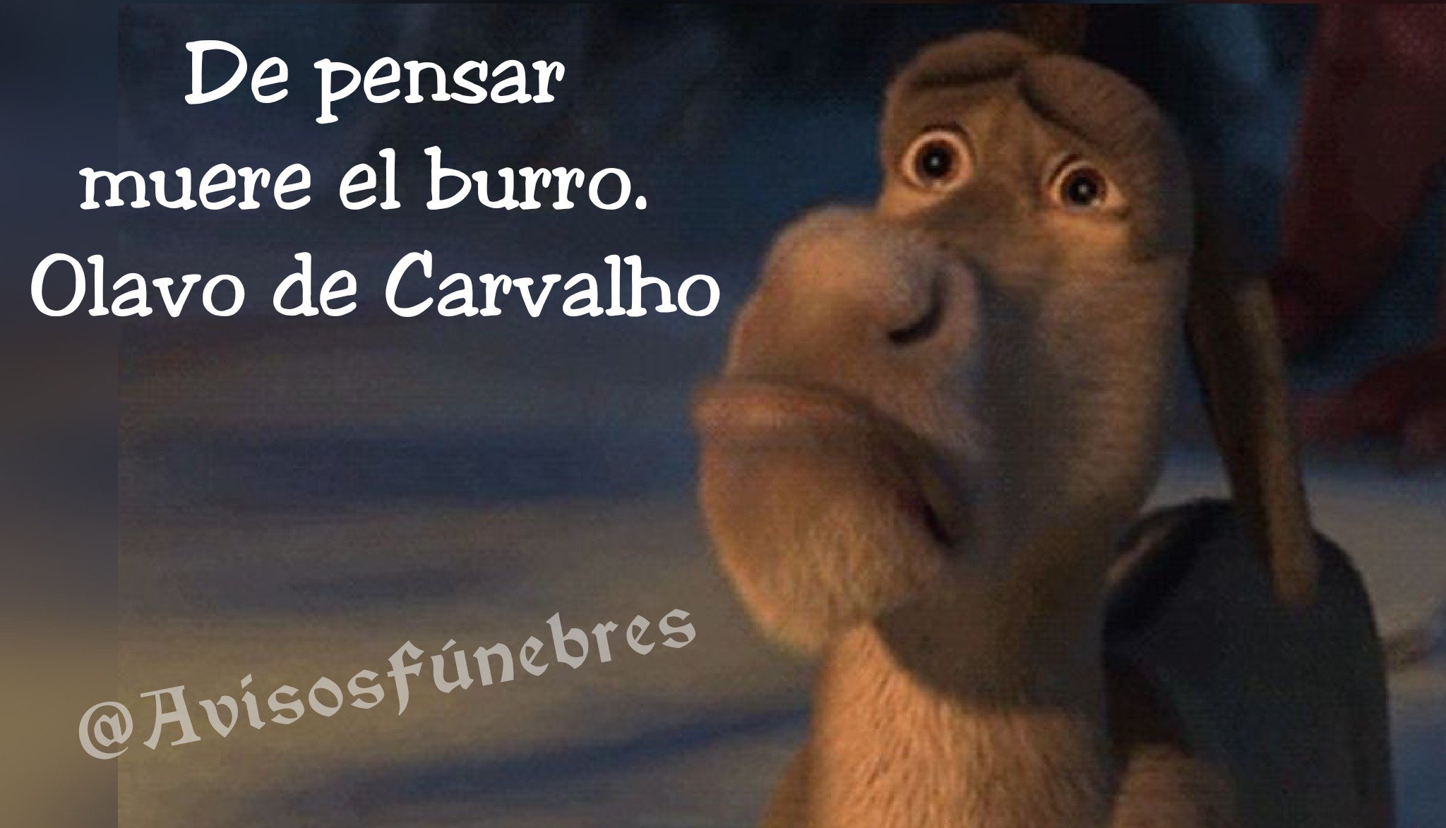 Burro Shrek Triste