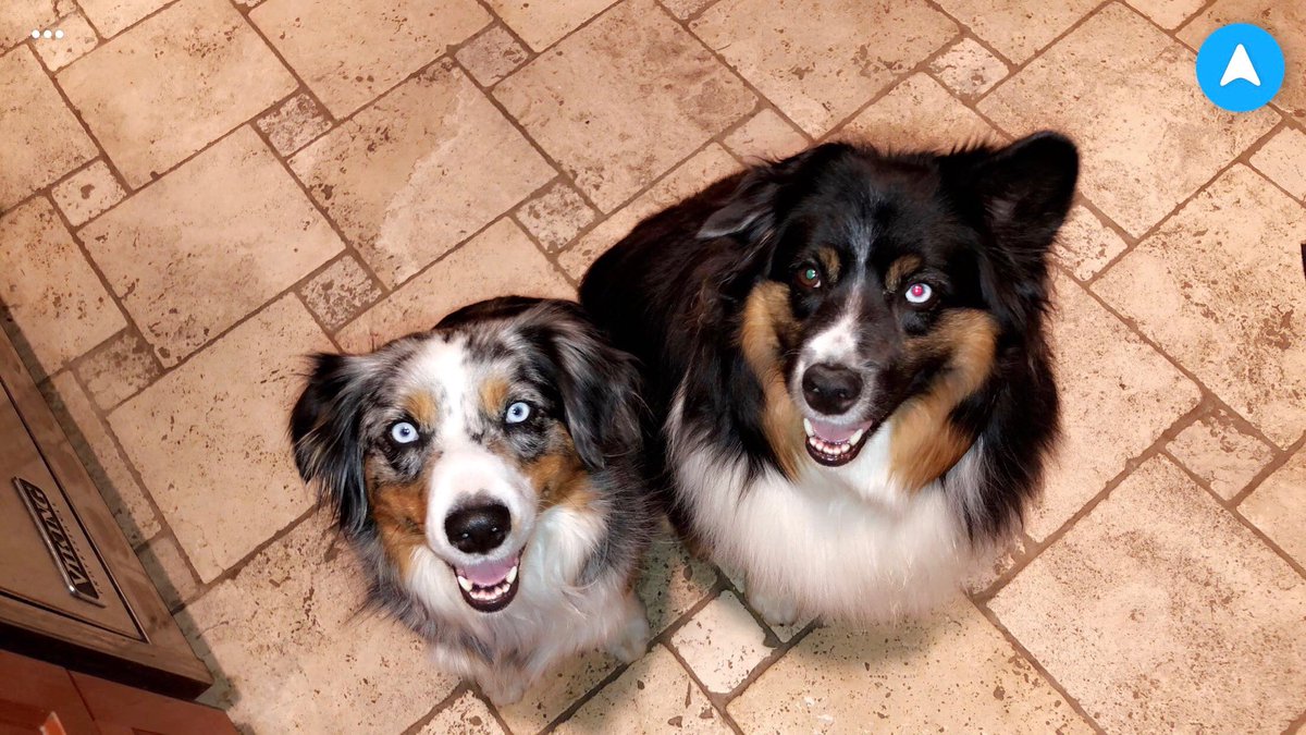 38 best Ryan Stiles images on Pholder | Pics, Whoselineisitanyway and ...