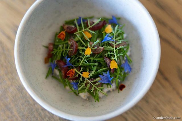 Anders Husa (@AndersHusa) | Twitter