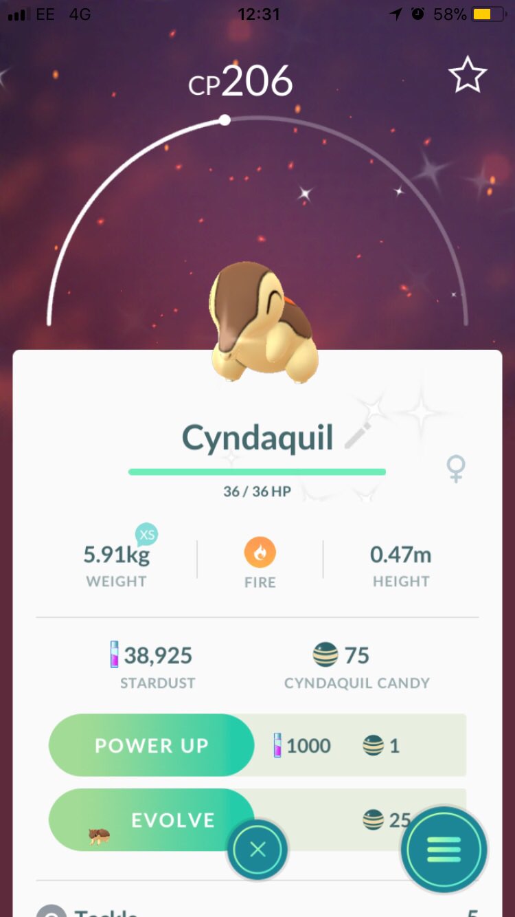 Shiny Cyndaquil