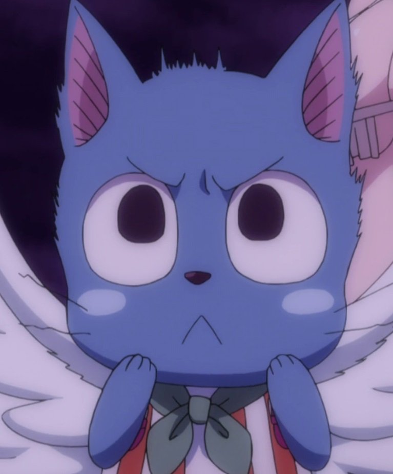 Fairy Tail Happy Cat