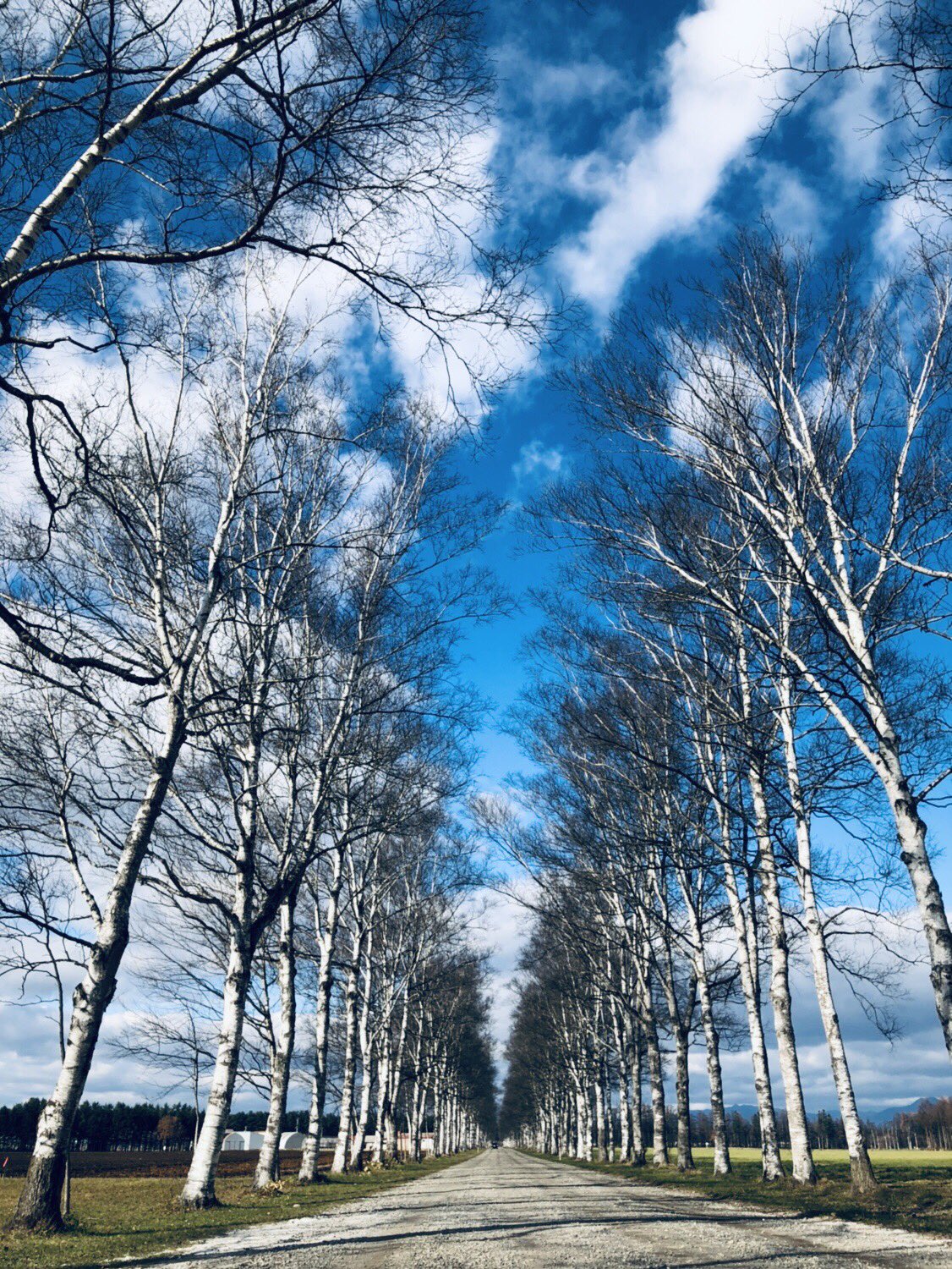 Yusuke Terada on Twitter: "今日も #texconf2018 に引き続き北海道の大地を旅しています。平地は秋空から冬空への移り変わりを感じさせる澄んだ空気でしたが、山 ...