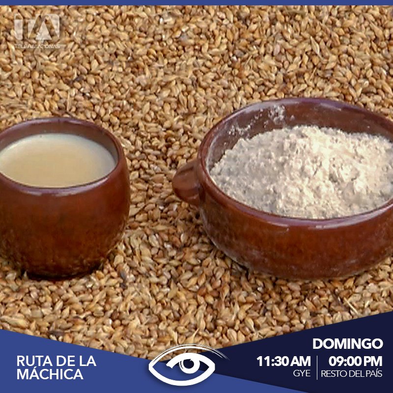 Máchica : Últimas noticias y actualidad en vivo - Scoopnest