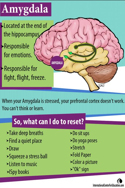 International Center for Education on Twitter: "NEW! Emotion Regulation ...