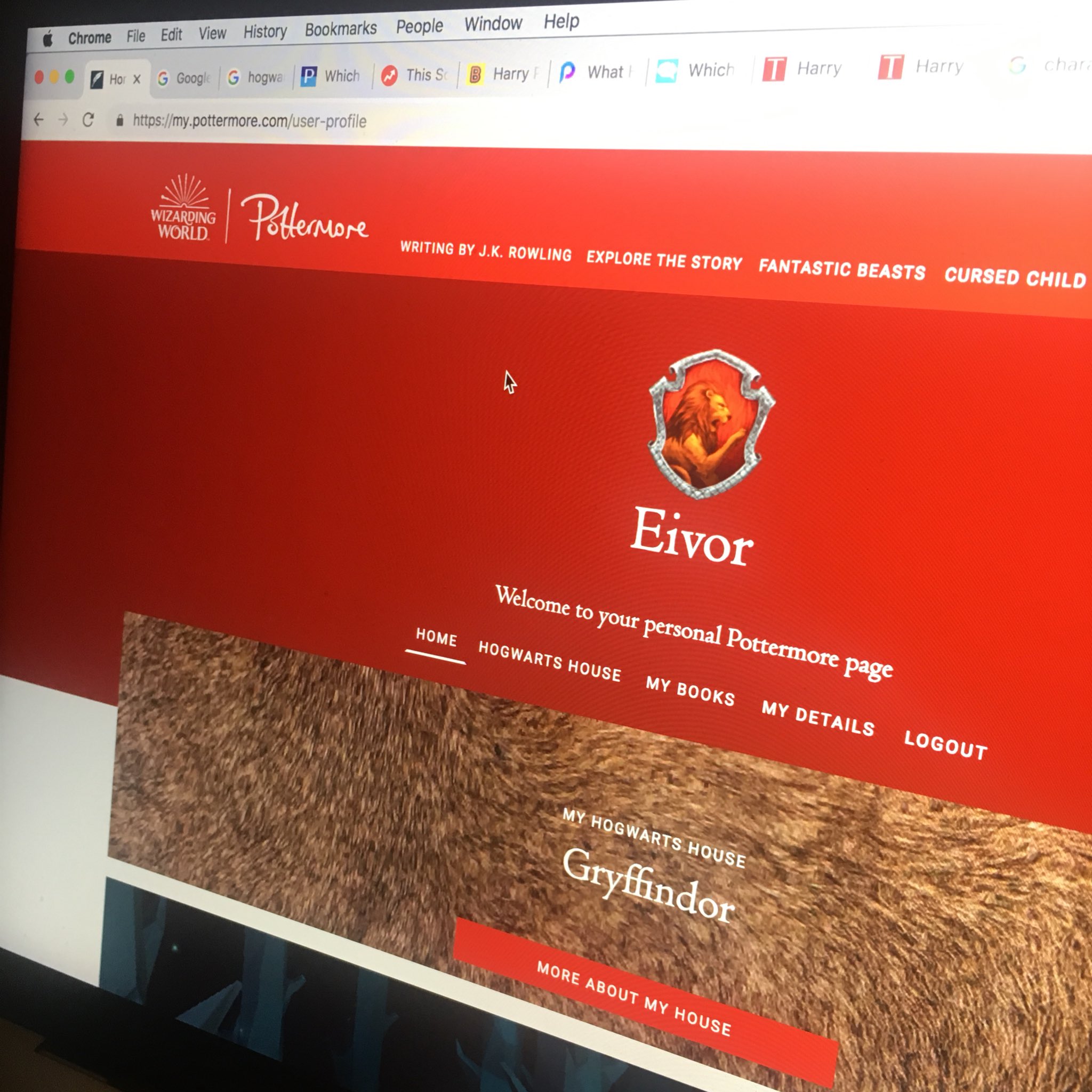 Gryffindor Pottermore