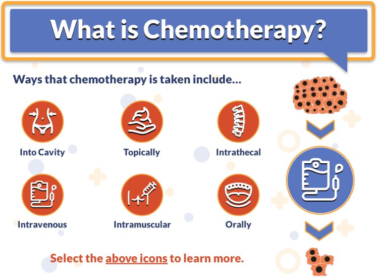 How Chemotherapy Works