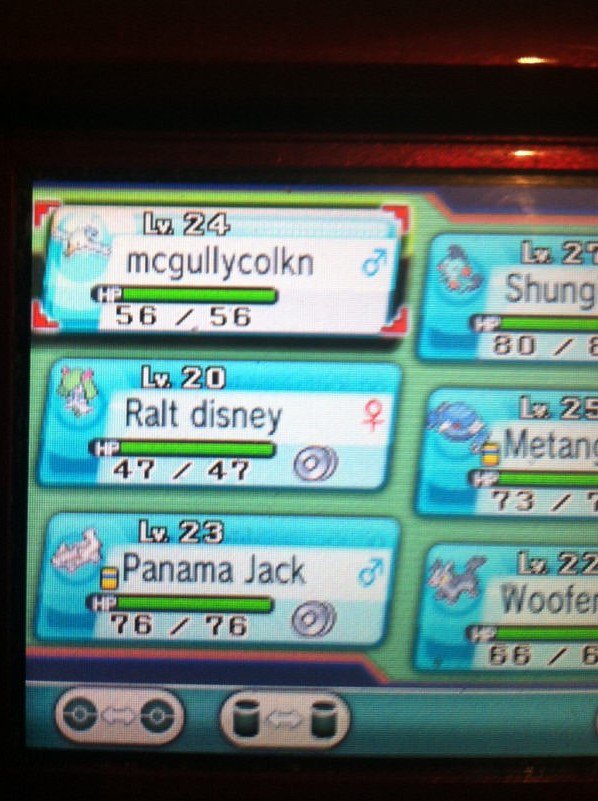 Omega Ruby Memes Mega Beedrill Pokemon Omega Ruby And Alpha Sapphire
