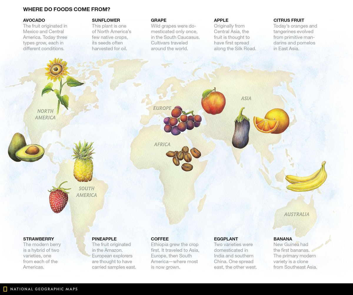 Clare Trainor (@ClareMTrainor) | Twitter