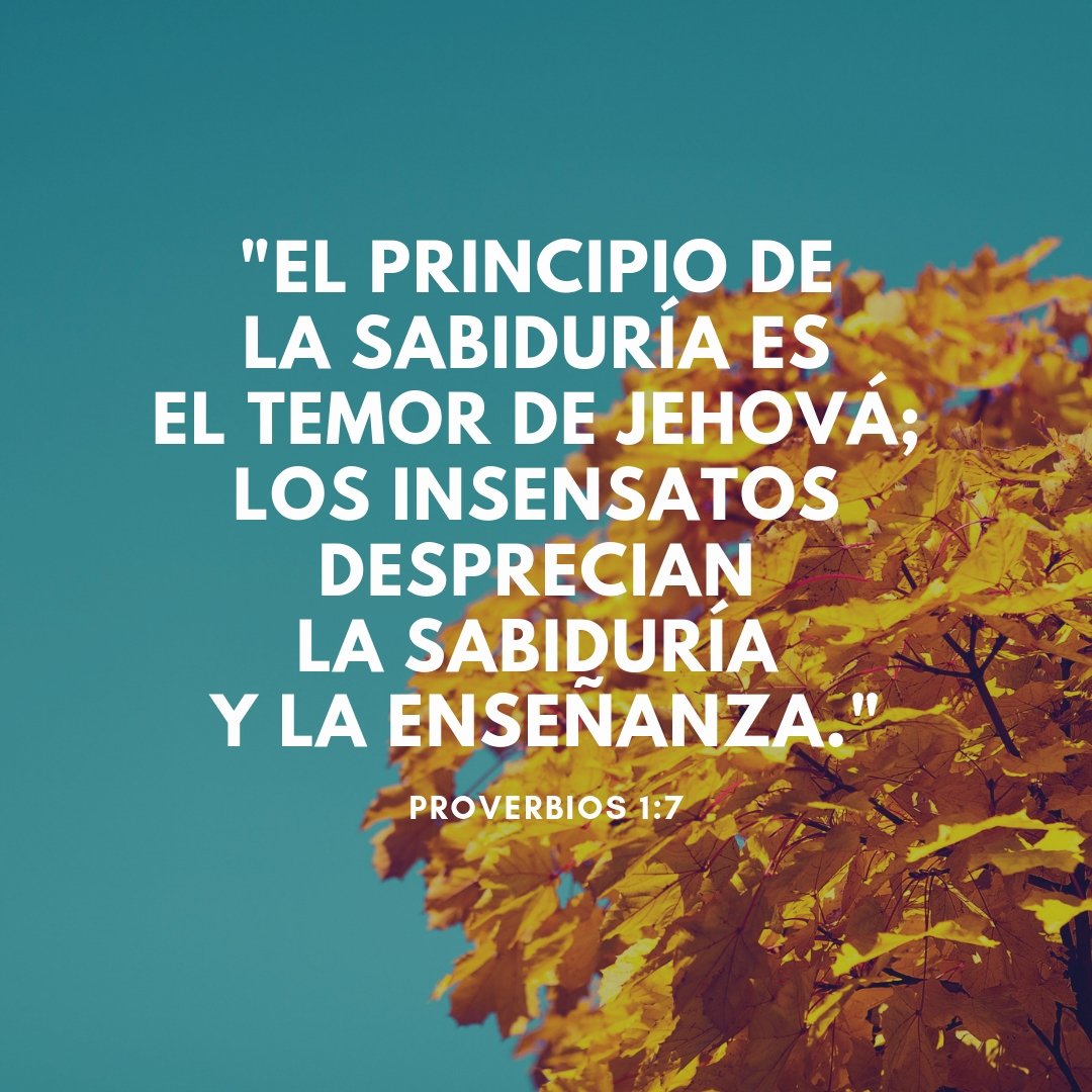 Proverbios 1 6 7