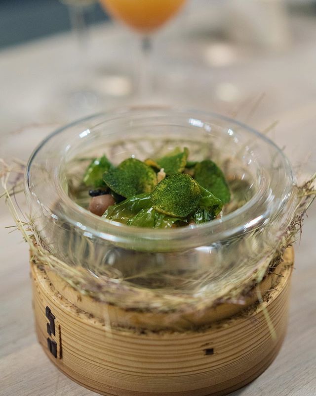 Anders Husa (@AndersHusa) | Twitter