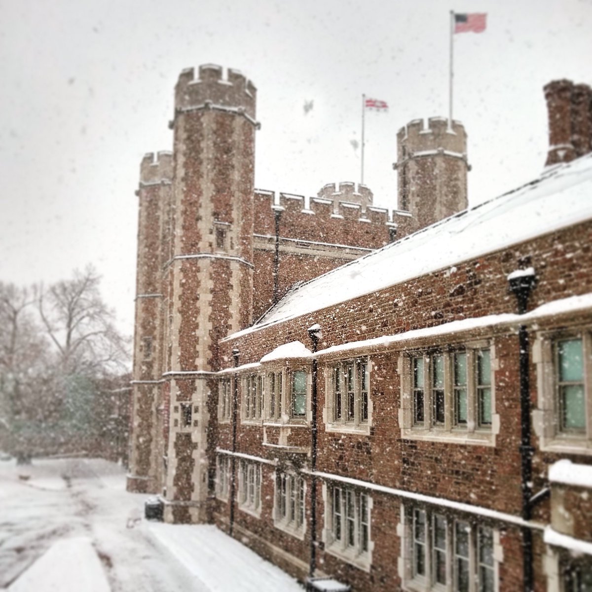 6 best Twitter Wustl images on Pholder | Caught on Instagram: One of ...