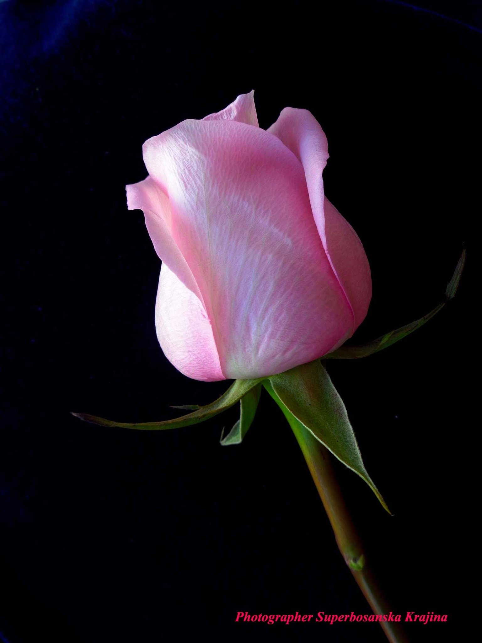 Mis akhi (@akhi_mis) / Twitter