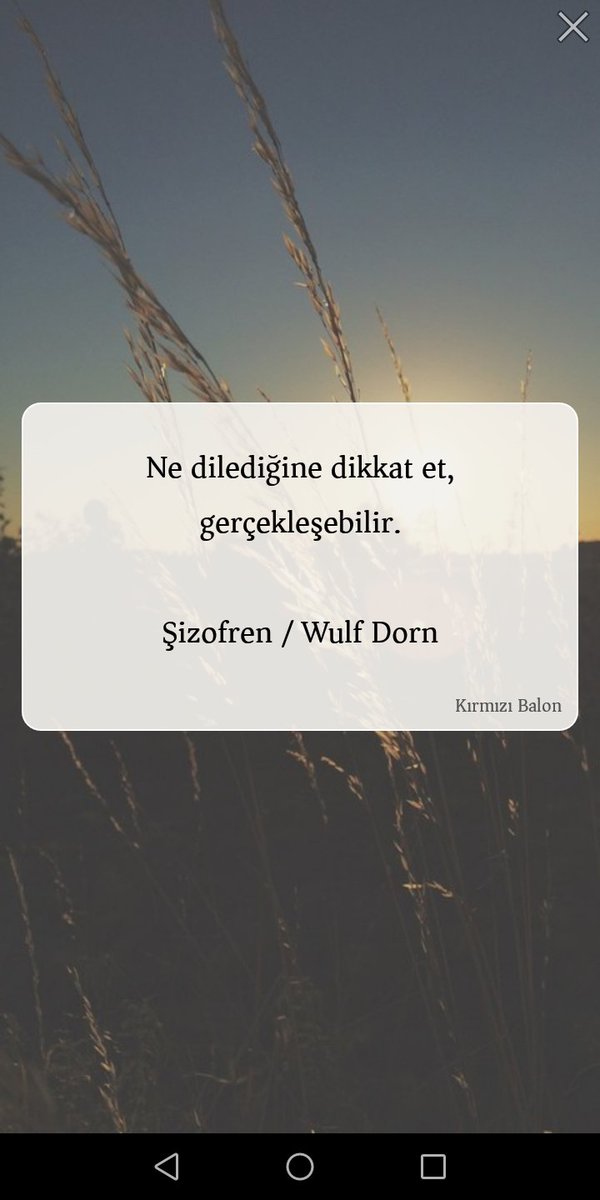 Eftal (@Eftal30717925) | Twitter