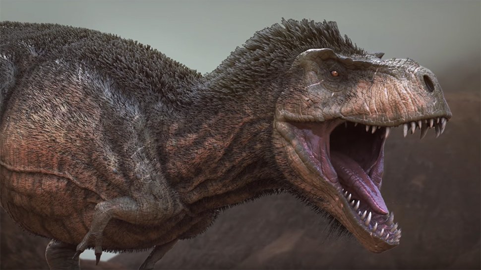Fat Feathered T Rex Sale Price | www.oceanproperty.co.th