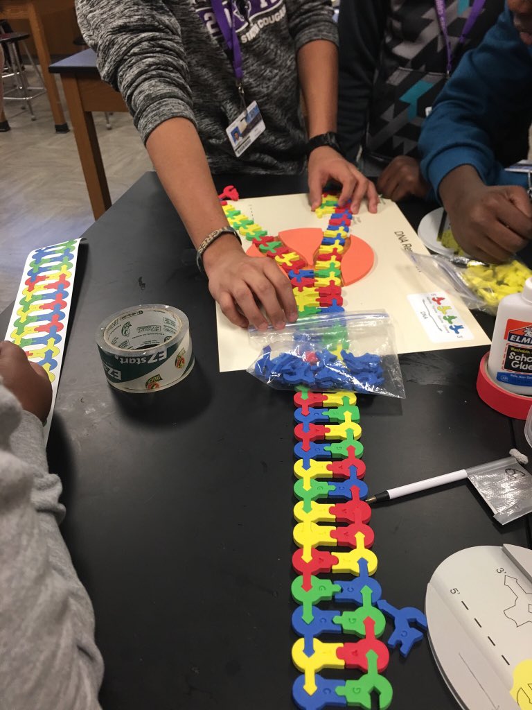 Dna Replication 3d